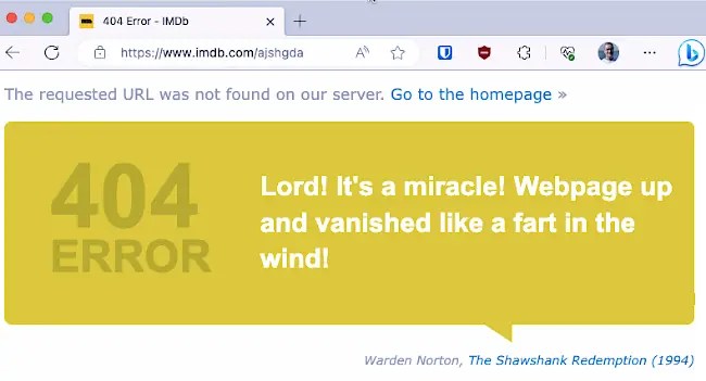 How to customize the 404 page on your blog or website – RAWinfopages