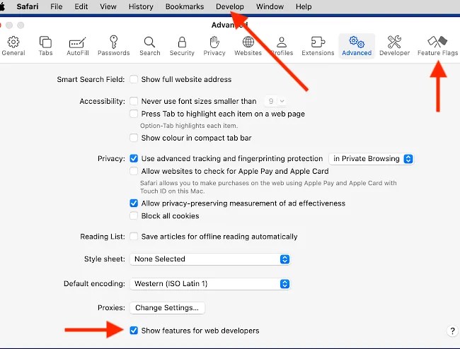 How to access advanced features in Safari using flags – RAWinfopages
