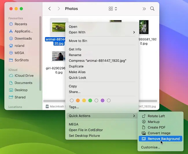 Remove the background from photos in Finder on the Mac – RAWinfopages